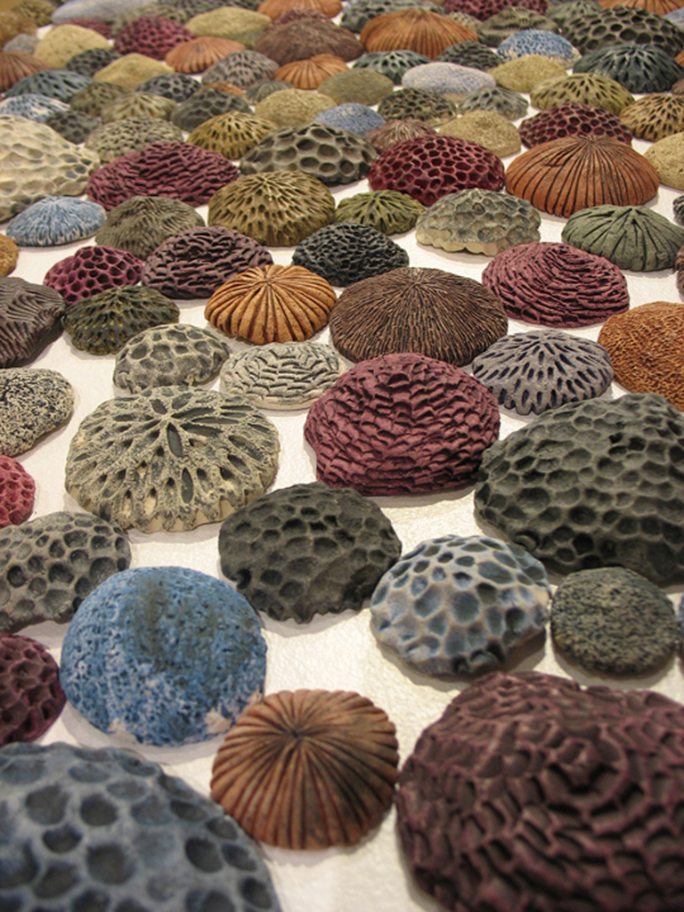 Liminal Spaces | Metcalf Gallery